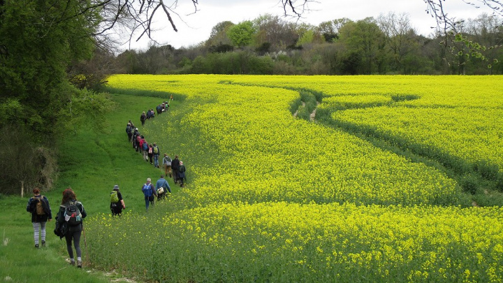 Women's and non-binary Yatra Retreat | Buddhafield | The Buddhist Centre